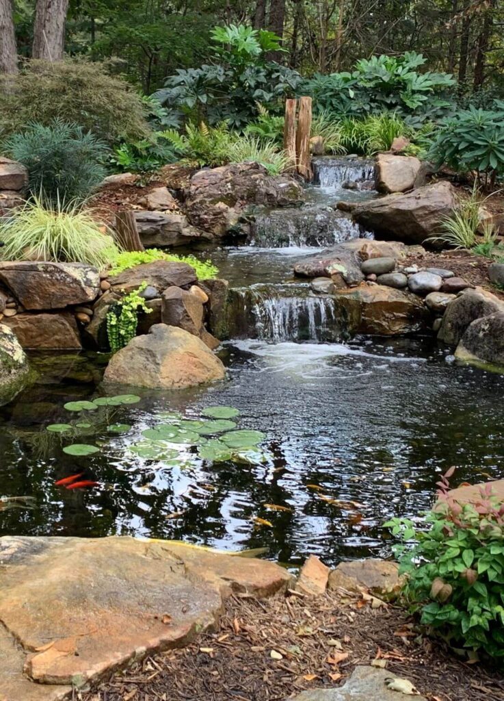 Pondscapes of Charlotte – Pond maintenance & installation Charlotte