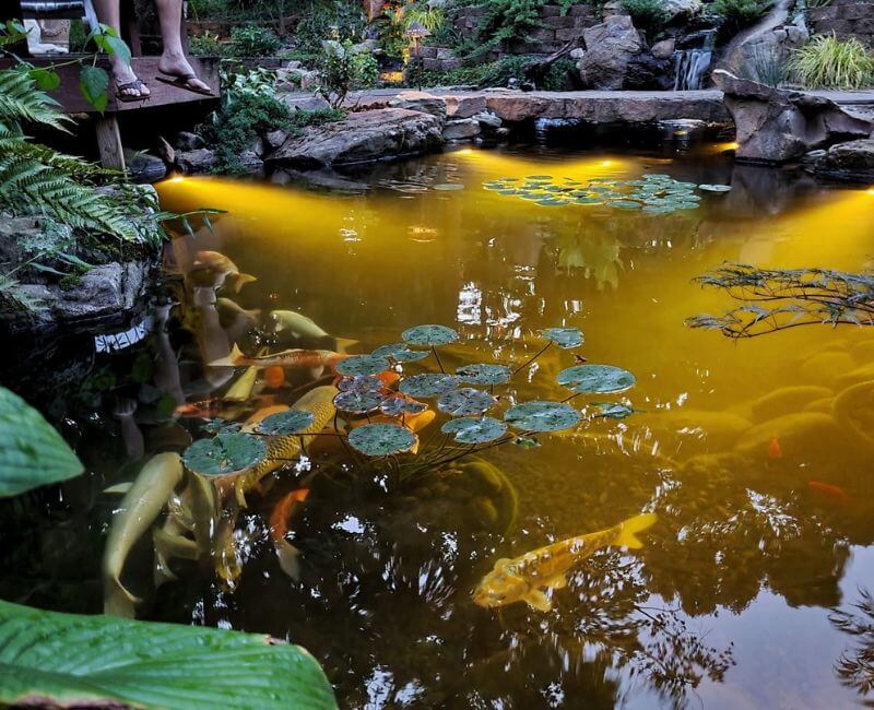 Illuminating Serenity: The Magic of Pond Lights - Pondscapes of Charlotte