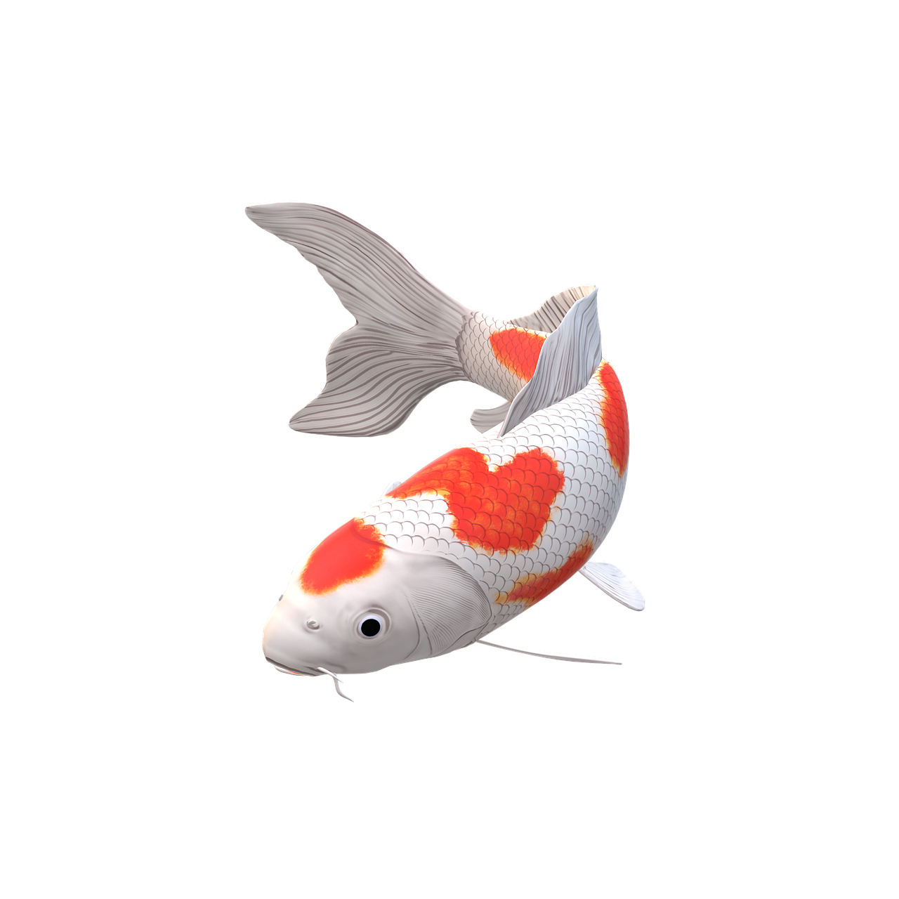 Fish Caves for Koi - Enhancing the Beauty and Well-being of Your Pond ...